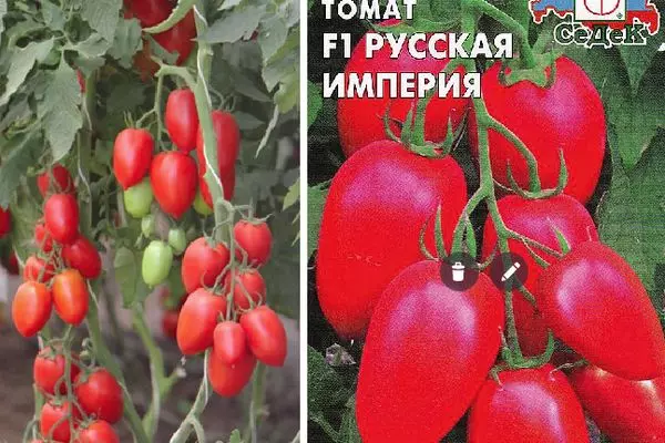 Semințe de roșii