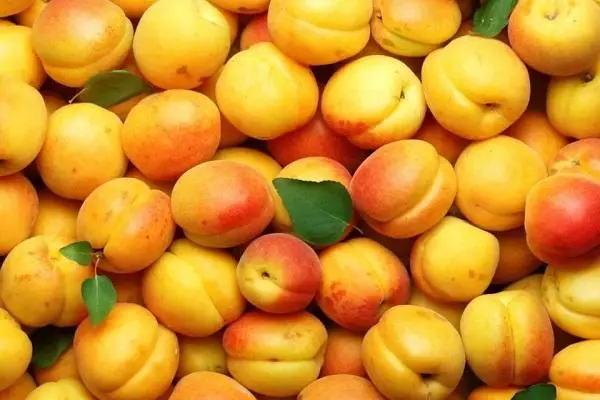 黄色浆果