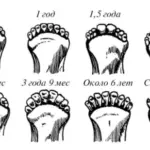 كيفية تحديد سن الماعز: طرق للأسنان والقرون والعلامات الخارجية 7803_4