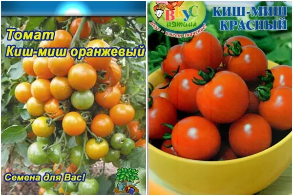 Sementes de tomate kish misha