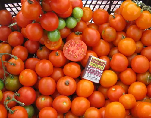 Tomato Orange Kish Mishha