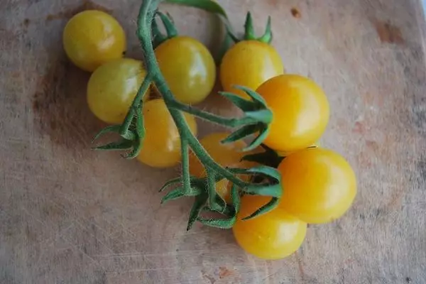 Pomidor keselleri