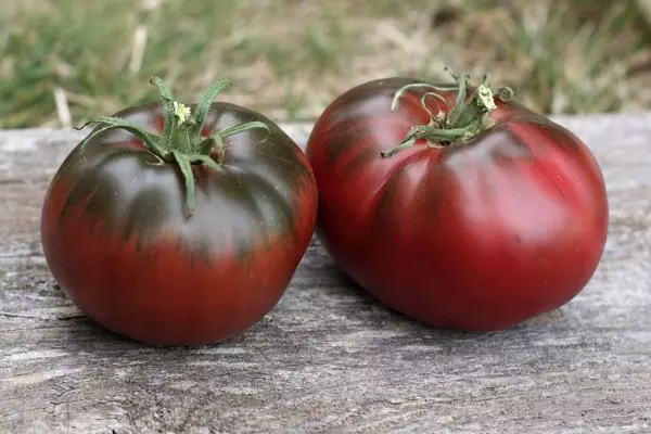 Doktorski paradajz