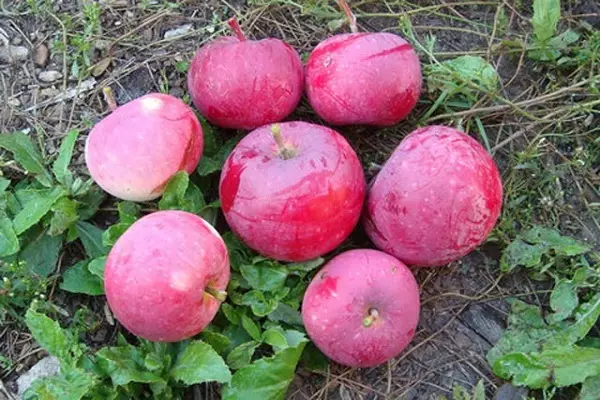 Manzanas jugosas