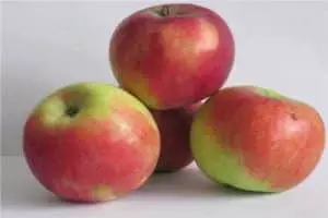 Deskripsyon Apple Tree Klas Sipozisyon ak Karakteristik, Avantaj ak Dezavantaj
