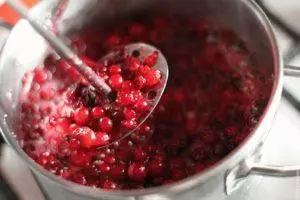Top 8 lahodné receptory vaření Landberry, voda s cukrem na zimu