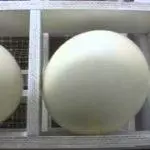 Inkubátor az Ostrich számára: Válassza ki a készüléket és a módokat táblázatokat, gyakori hibákat 8128_12
