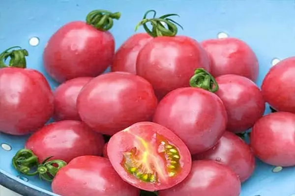Destpêka Tomato