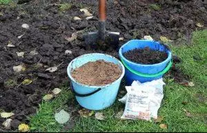 Lo que los fertilizantes y la alimentación son mejores para llevar al jardín y al jardín en el otoño.
