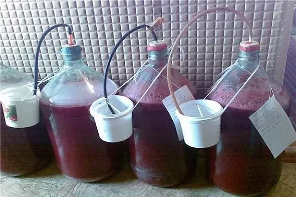 fermentasie drink