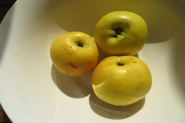 Několik jablek