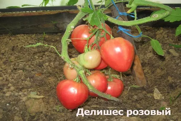 Karaktäristik och beskrivning av tomatiska delishes
