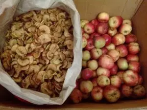 Kako pravilno sušiti jabuke kod kuće u pećnici naprotiv, električna elektrana i kako pohraniti