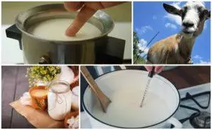 Het ek nodig en hoe lank is dit die moeite werd om te kookgok melk, produk stoor reëls