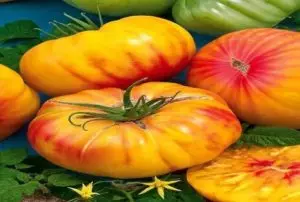 Опис і характеристика сорту томату Медовий салют