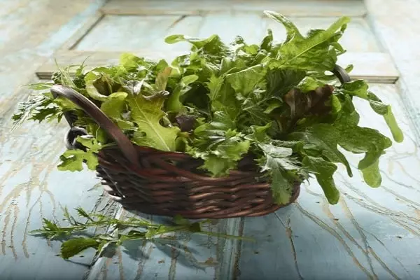 Förvaring av arugula