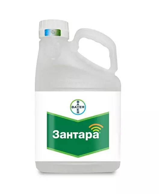 Zantara Fungicide instructions for use