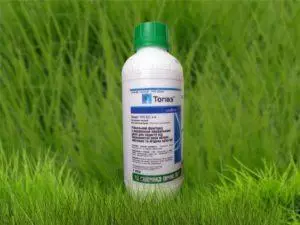 Instructions for the use of fungicide Topaz for plants, composition and analogues