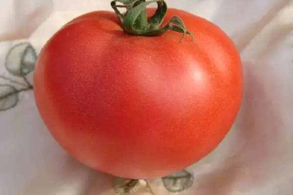 Mysteryless Tomato.