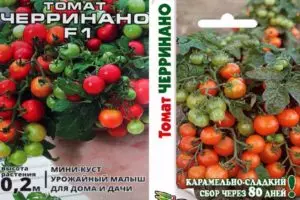 Beschrijving van de verscheidenheid aan tomaten Cherryano zijn betrokken methoden