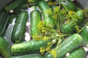 Manyan girke-girke na 11 na ƙananan ƙananan cucumbers tare da ganyayyaki na horseradish da tafarnuwa
