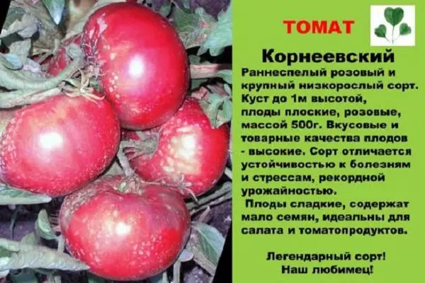 Charakteristika paradajok