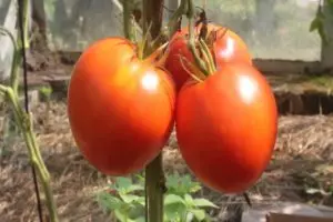 Lýsing á Tomato Raða hjarta Kangaroo, einkennandi og ávöxtunarkrafa