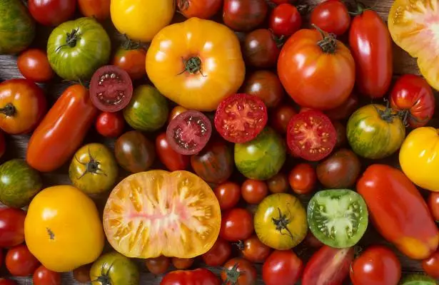 Top Tomato-variëteiten voor 2021