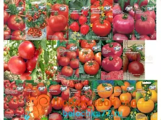 2021 کے لئے اوپر ٹماٹر کی قسمیں