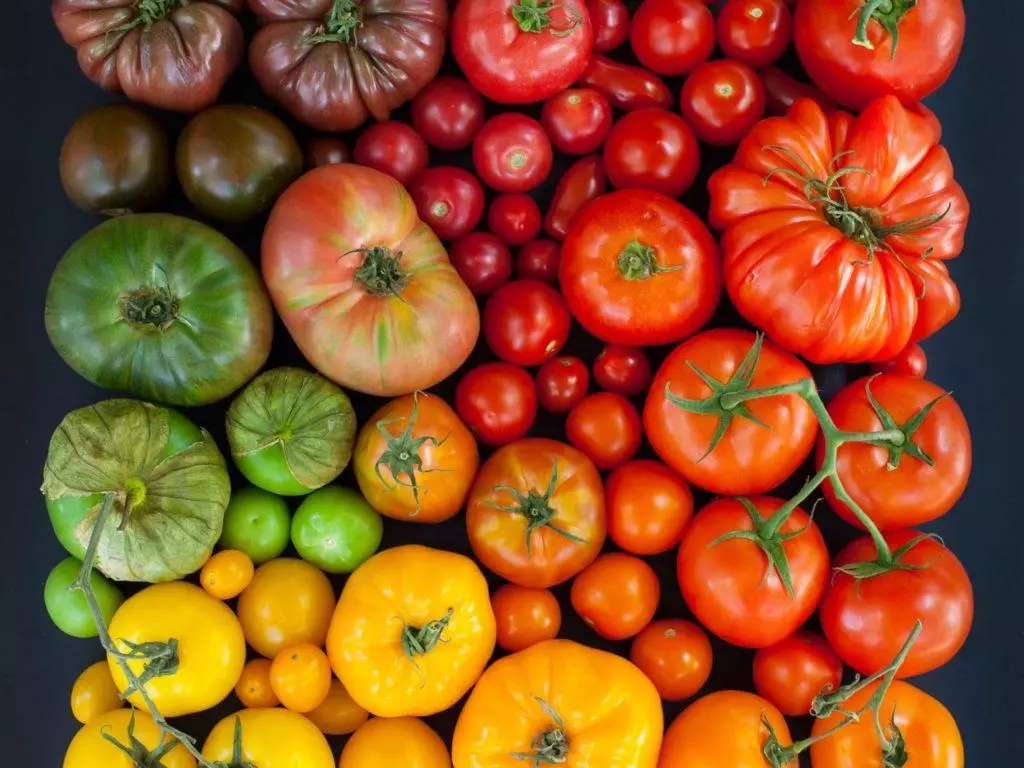 Top Tomato-variëteiten voor 2021