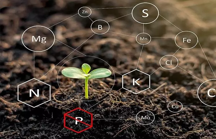 Landareetan formula