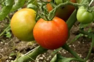 Beschreiwung vun der Tomate New Years Varietéit an seng Charakteristiken
