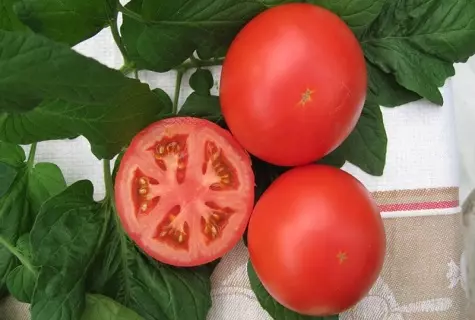 Hanner tomato