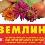 Землин: інструкцыя па ўжыванні і склад, умовы захоўвання і аналагі 8506_5