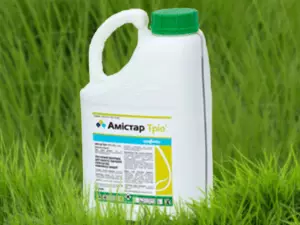 Az amystar trió fungicidének használatára és összetételére vonatkozó utasítások