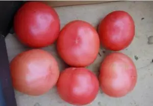 Ominaisuudet ja kuvaus Tomaatti Tomaatin suosikki