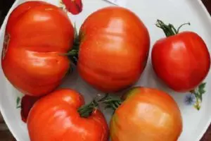 Опис на разновидноста на доматно вага, карактеристики на одгледување и принос