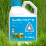 Fungicide Bumper Super: Sammansättning och bruksanvisningar, analoger och recensioner 8603_2