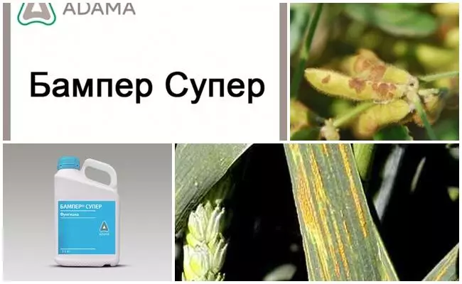 Супер браник