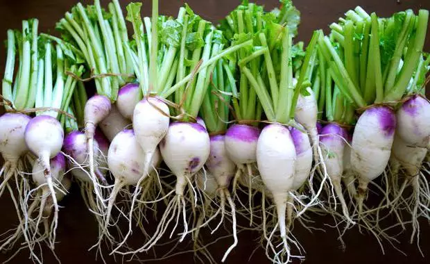 Adana turnips