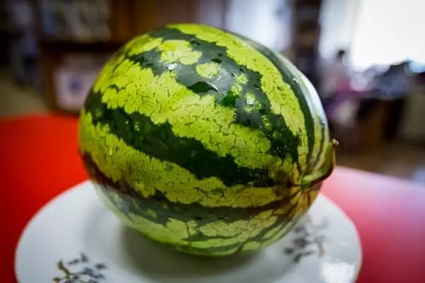 Angayan nga watermelon