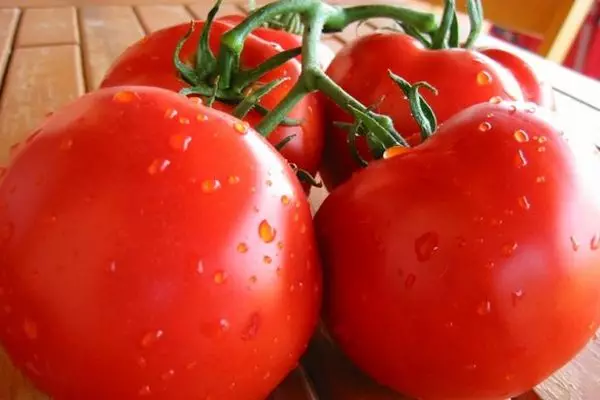 Tomato Aphrodita.