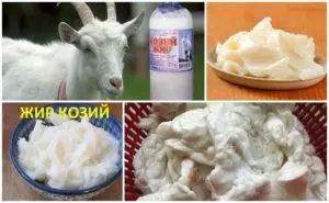 Therapeutic properties at contraindications ng kambing taba, kung paano mag-aplay