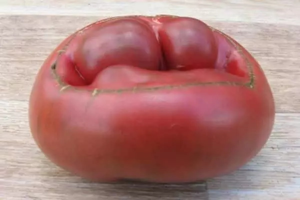 Hasil tomat