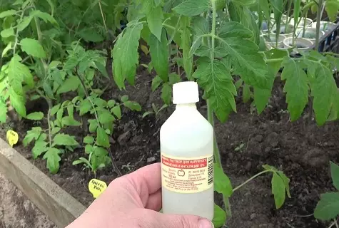 Medicine for tomato