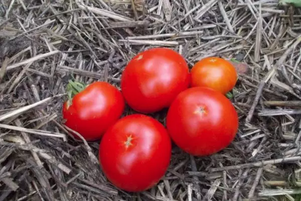Awọn tomati Radinelli
