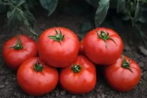 Charakterystyka i opis pomidorów pomidorowych F1