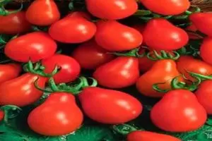 Tomato-paradajkový šaty Tabuľka, jeho vlastnosti a výnos