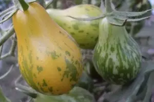 Tomato Warna Michael Polllan, Ciri-ciri Tumbuh dan Penjagaan