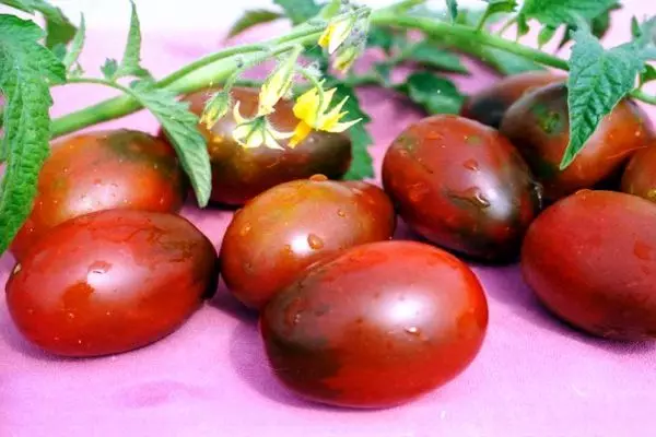 Šljiva crna rajčica